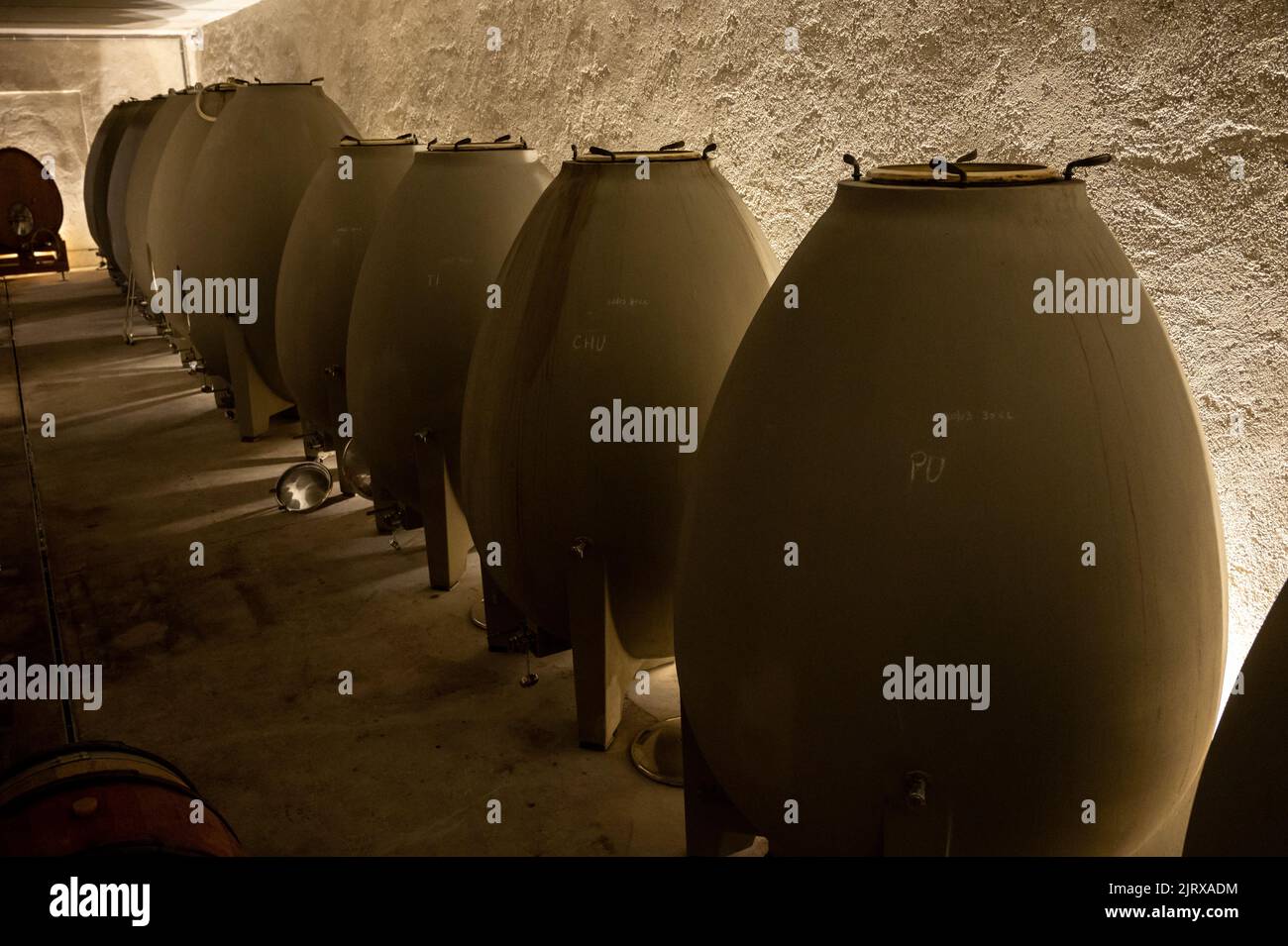 Stages of wine production from fermentation to bottling, visit to wine ...