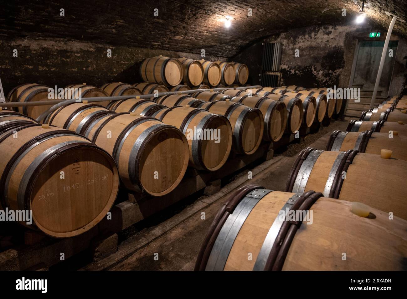 Stages of wine production from fermentation to bottling, visit to wine ...