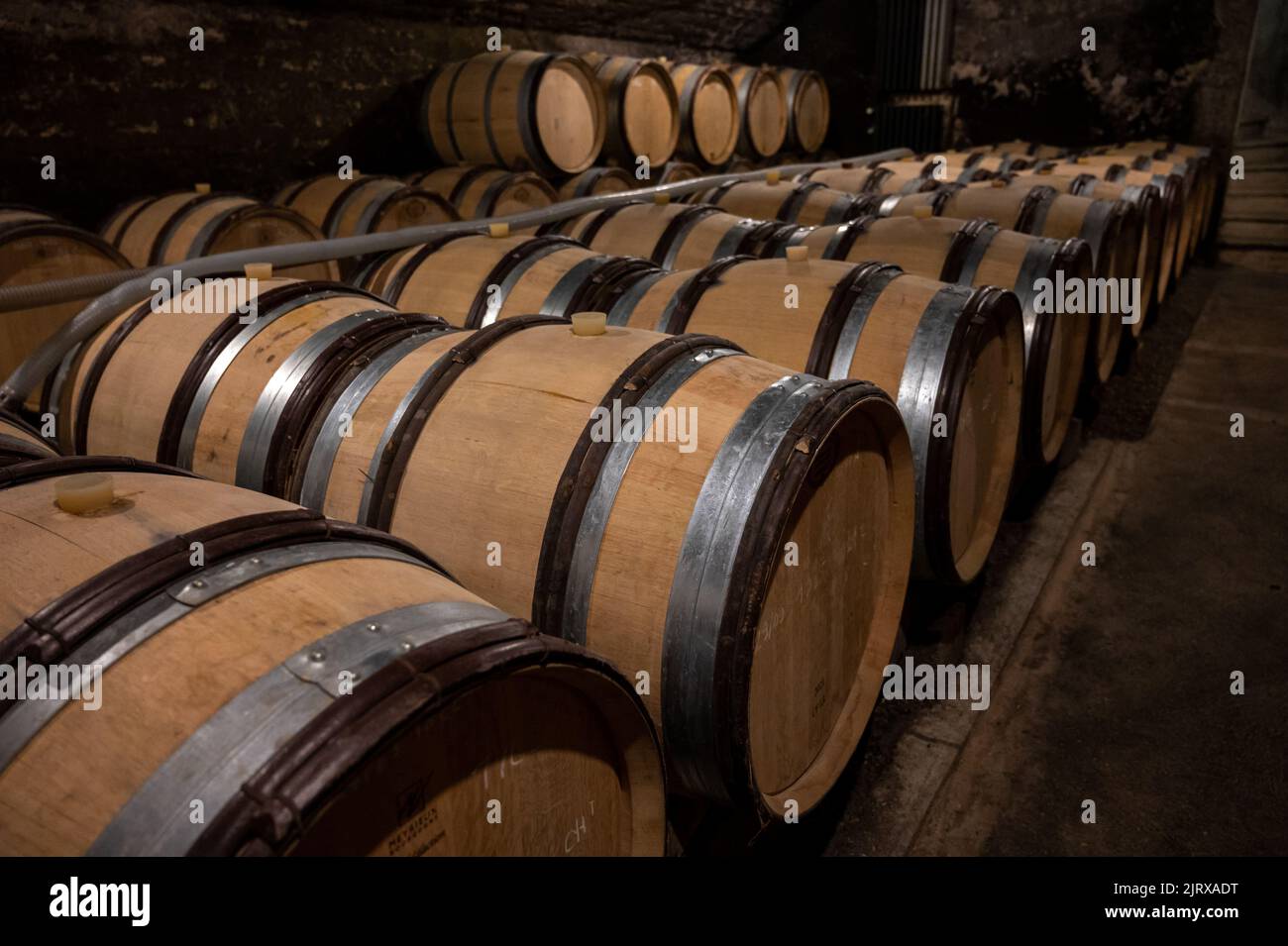 Stages of wine production from fermentation to bottling, visit to wine ...