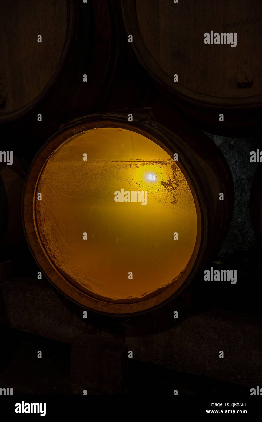 Winemaking stages hi-res stock photography and images - Alamy