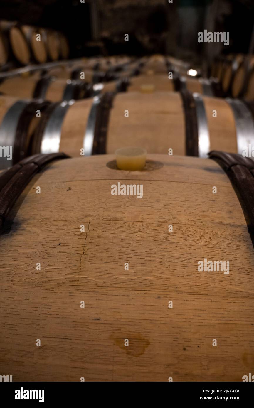Stages of wine production from fermentation to bottling, visit to wine ...