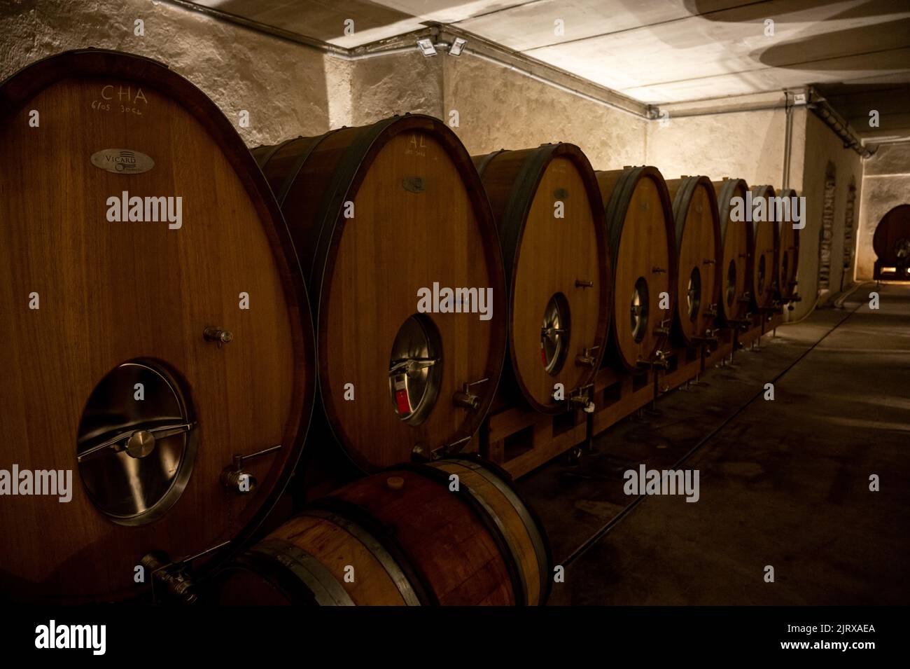 Stages of wine production from fermentation to bottling, visit to wine ...