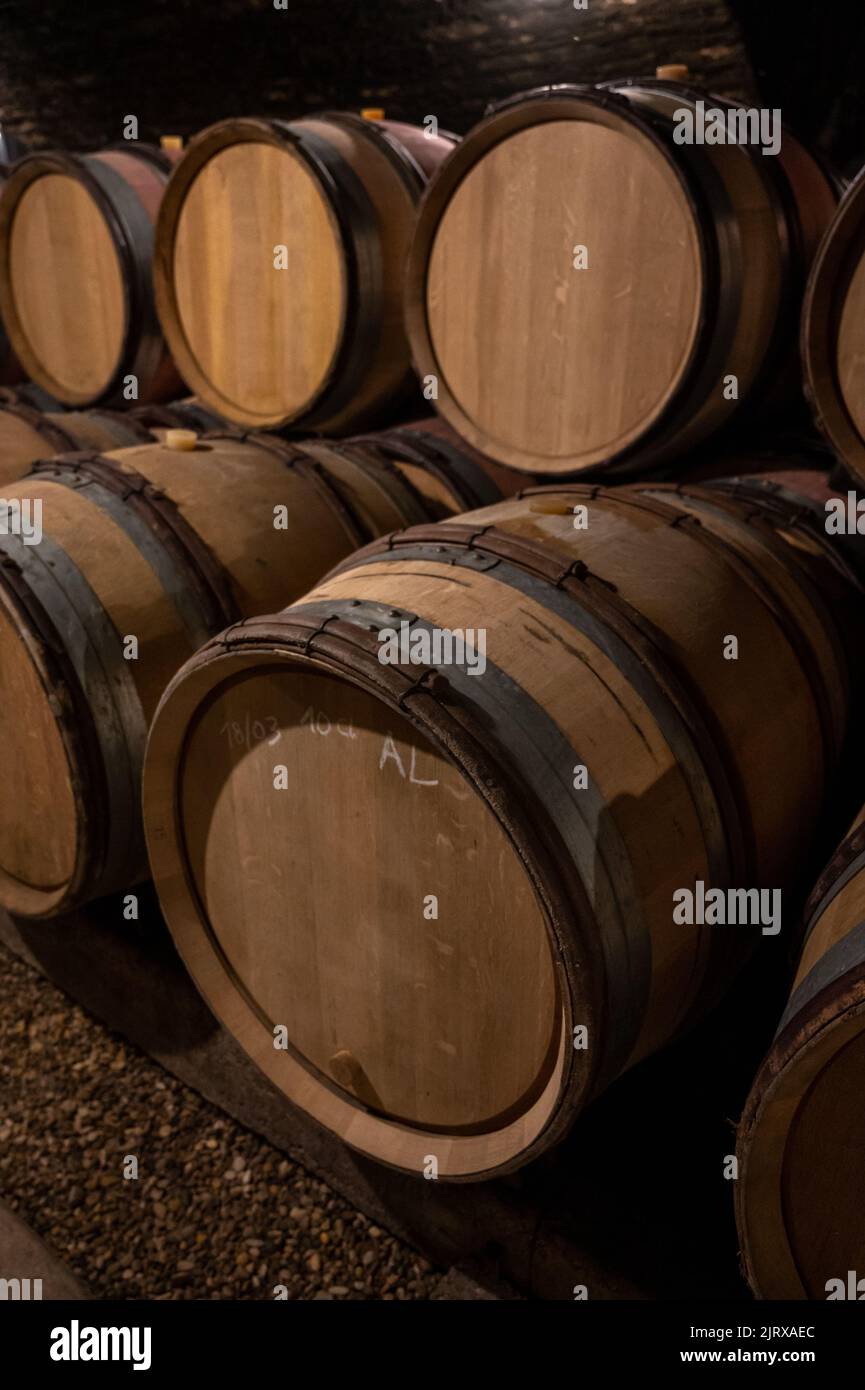Stages of wine production from fermentation to bottling, visit to wine ...