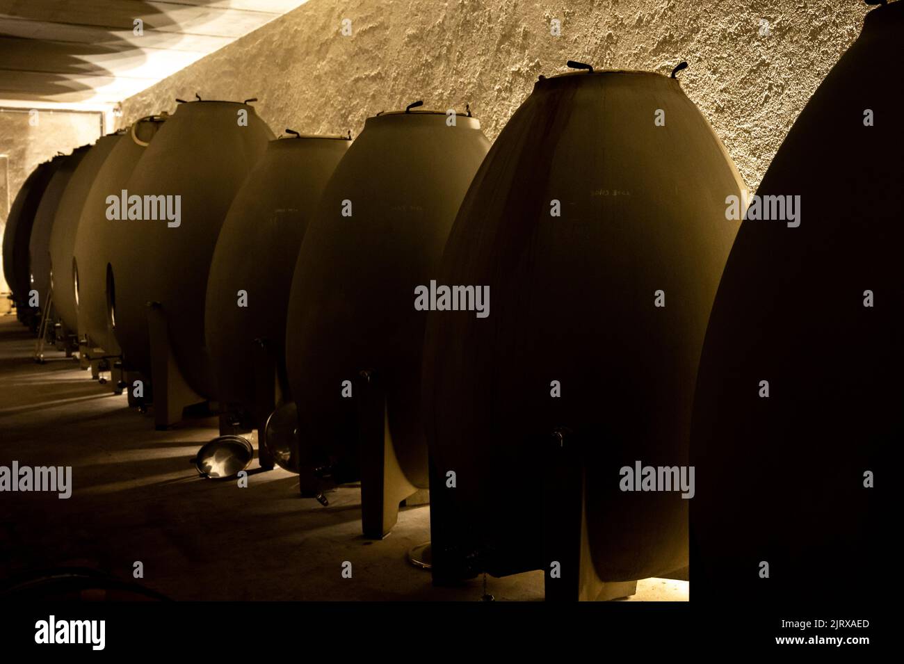 Stages of wine production from fermentation to bottling, visit to wine ...