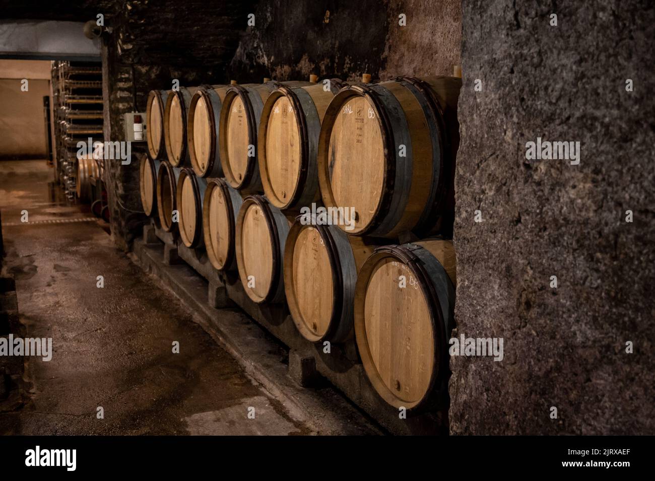 Stages of wine production from fermentation to bottling, visit to wine ...