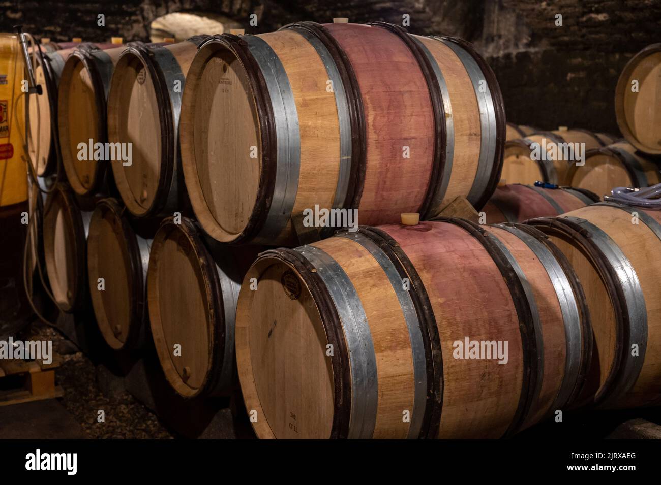 Stages of wine production from fermentation to bottling, visit to wine ...