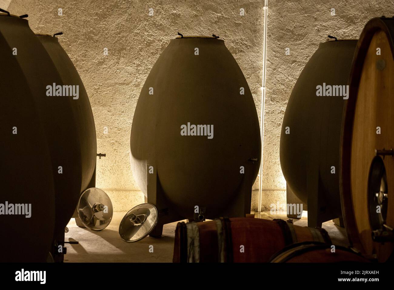 Stages of wine production from fermentation to bottling, visit to wine ...