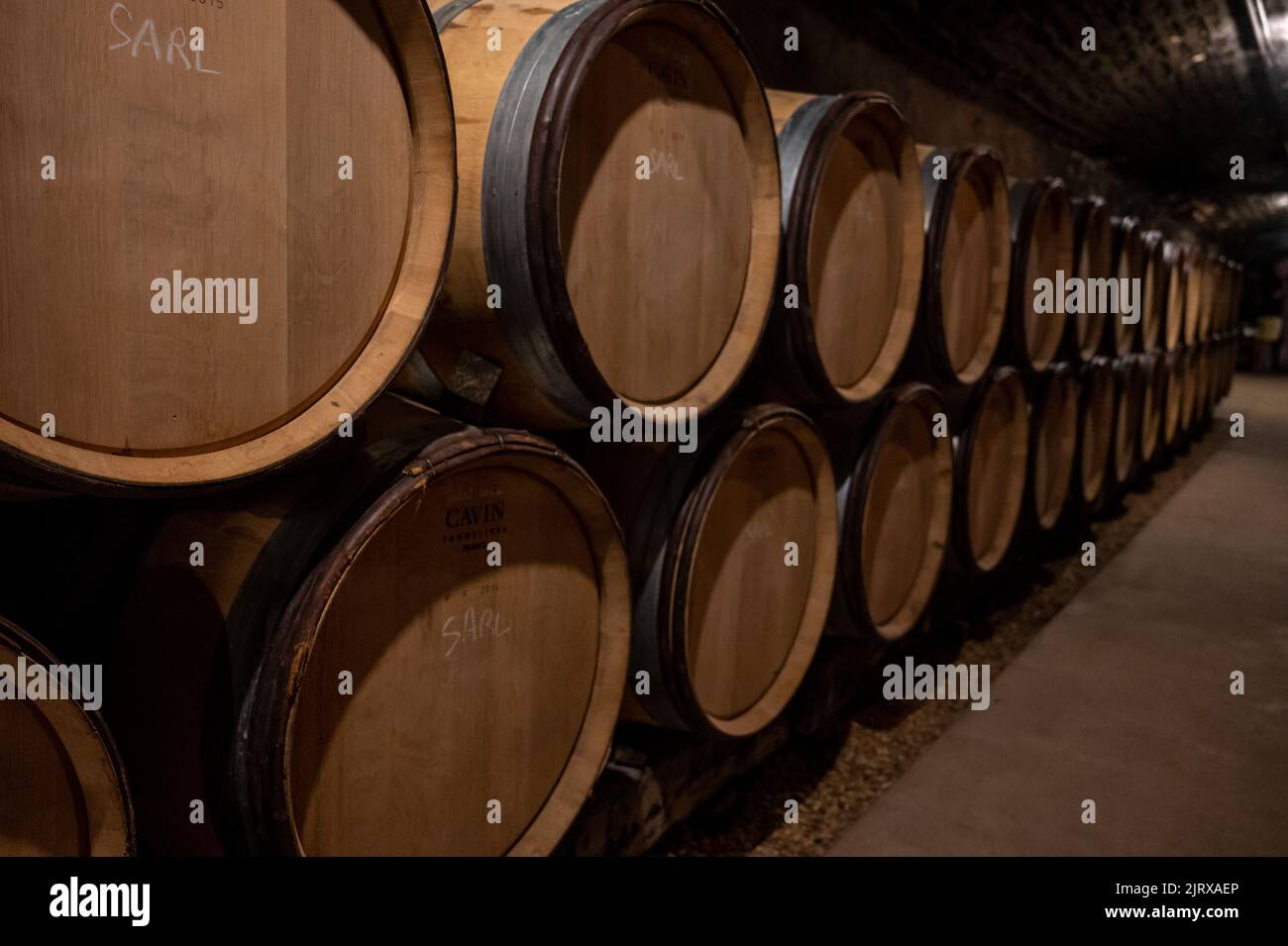 Stages of wine production from fermentation to bottling, visit to wine ...