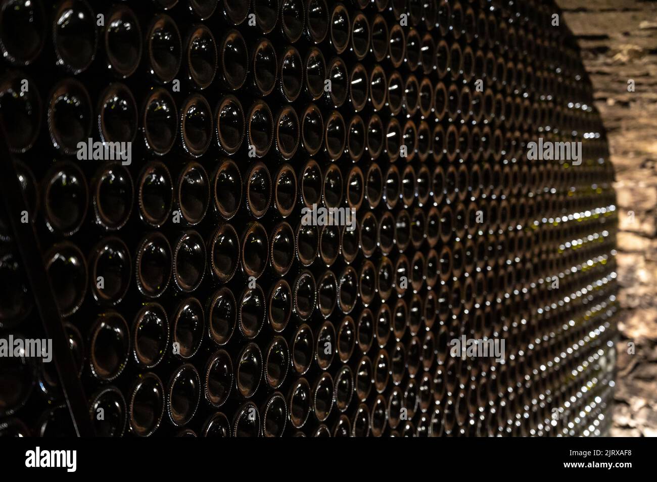 Stages of wine production from fermentation to bottling, visit to wine ...