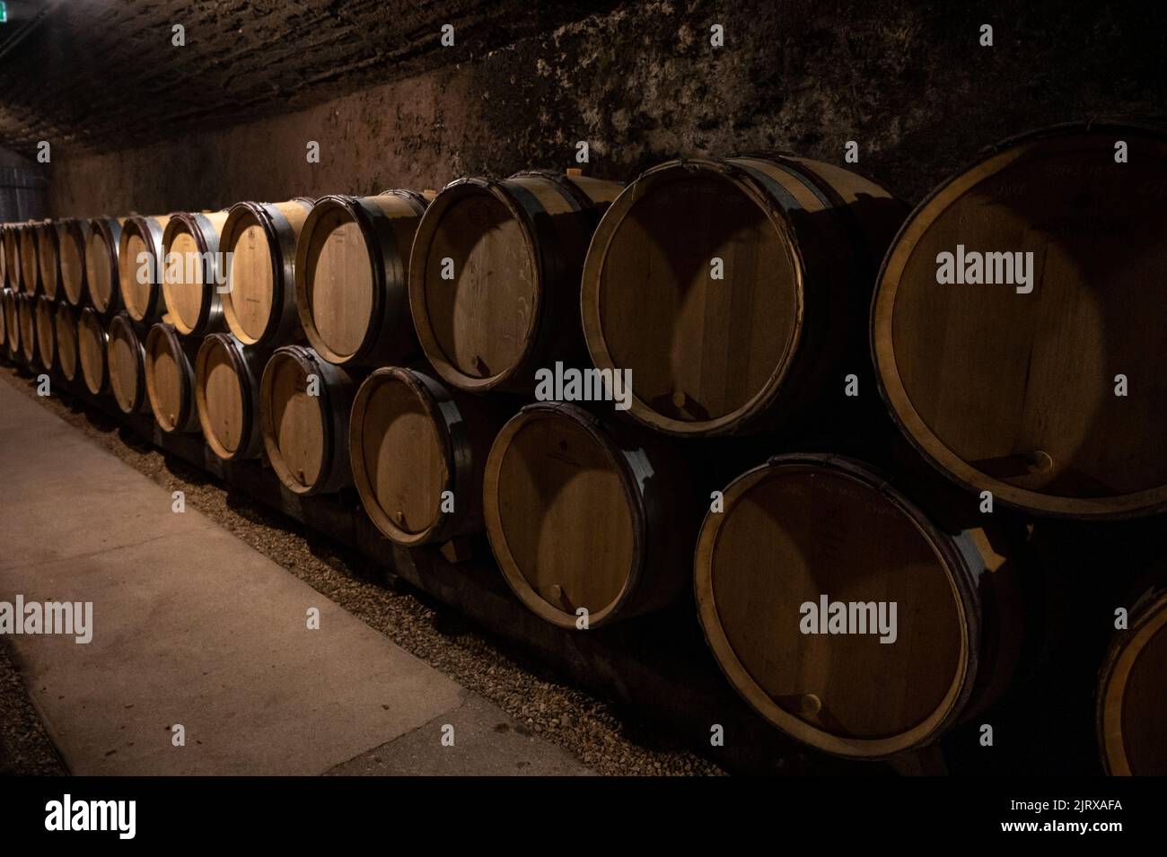 Stages of wine production from fermentation to bottling, visit to wine ...