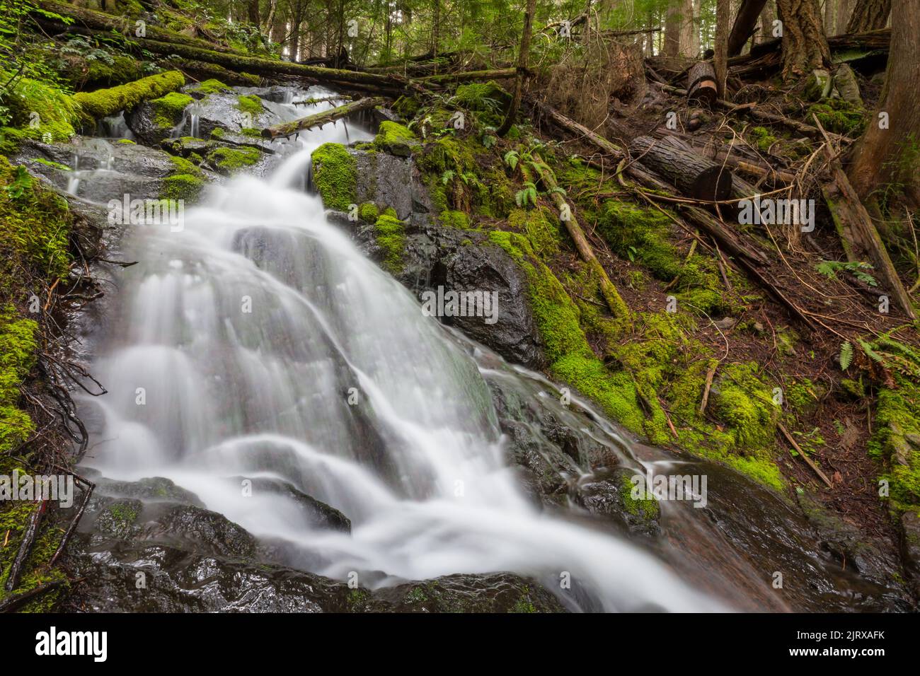 Waterfall in the beautiful green forest Stock Photo - Alamy