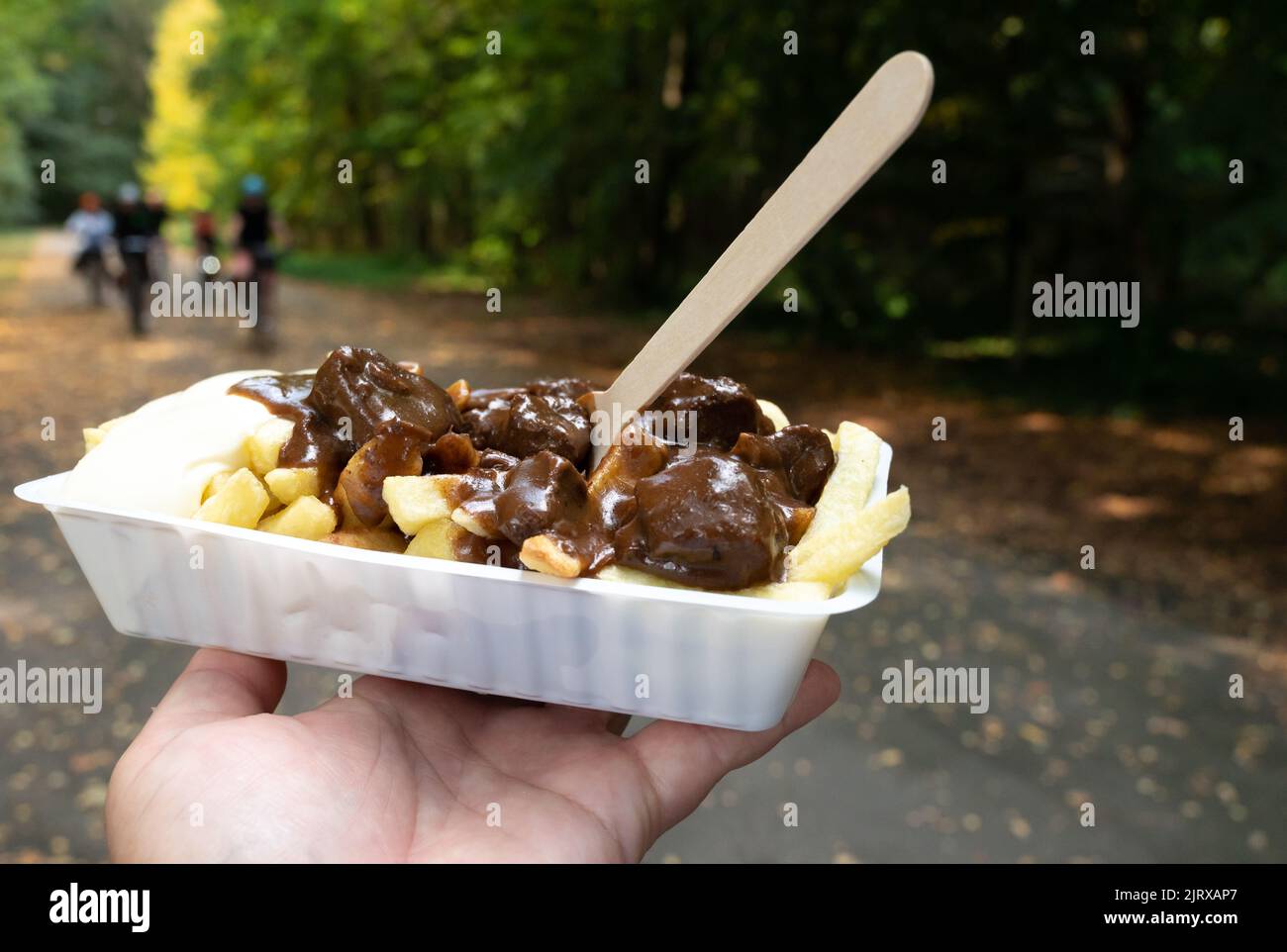 Traditional fast and street food in Belgium, French fried potatoes with ...