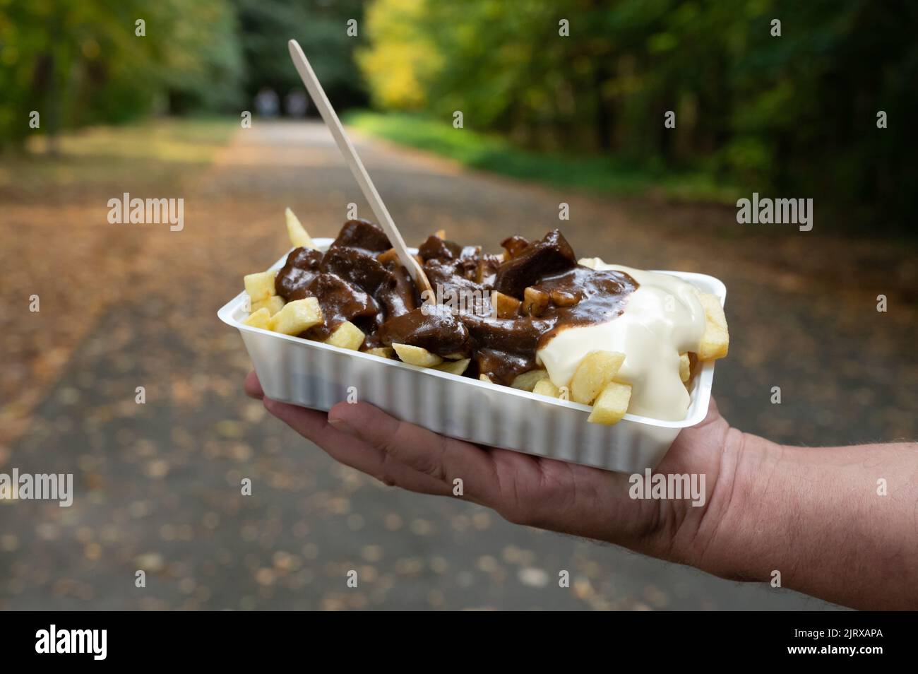 Traditional fast and street food in Belgium, French fried potatoes with ...