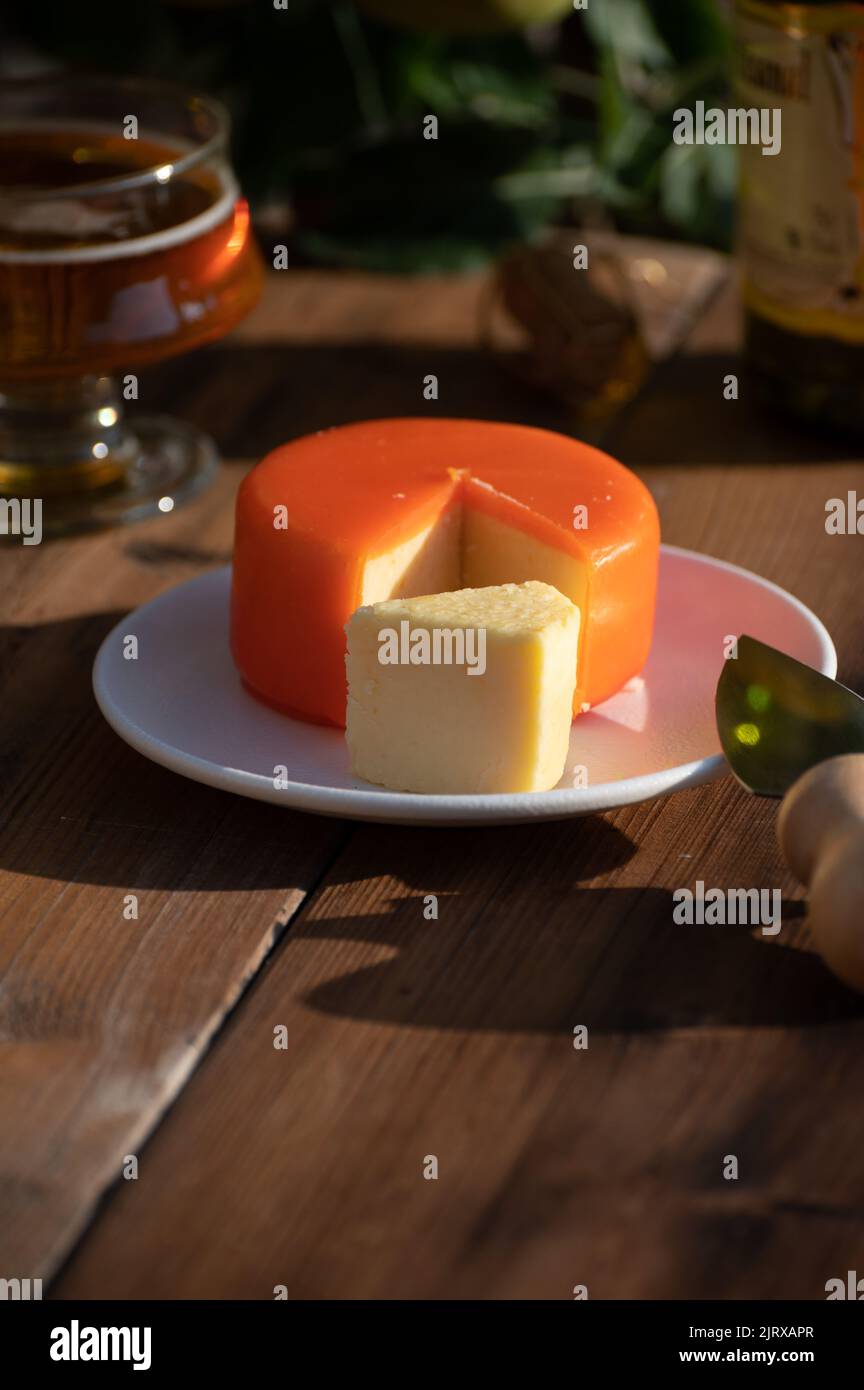 Tasting of organic farmers cheddar cheese in orange wax outdoor Stock ...