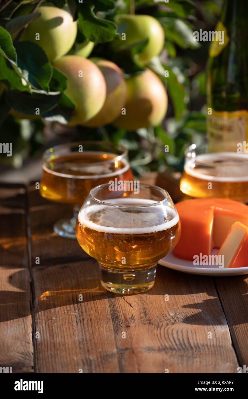 Food and drink pairing, apple cider in glasses produced on organic farm ...