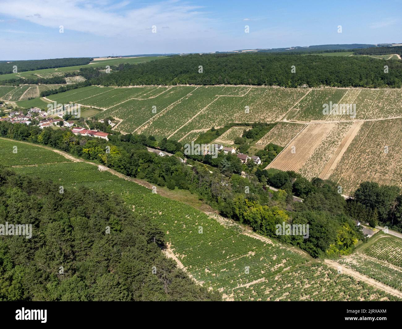 Aerial view on green Chablis Grand Cru appellation vineyards with ...