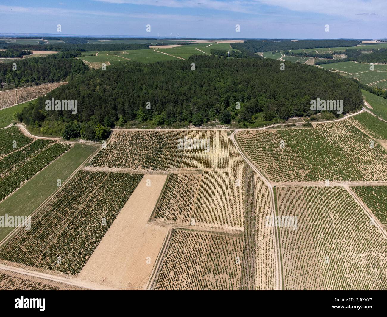 Aerial view on green Chablis Grand Cru appellation vineyards with ...