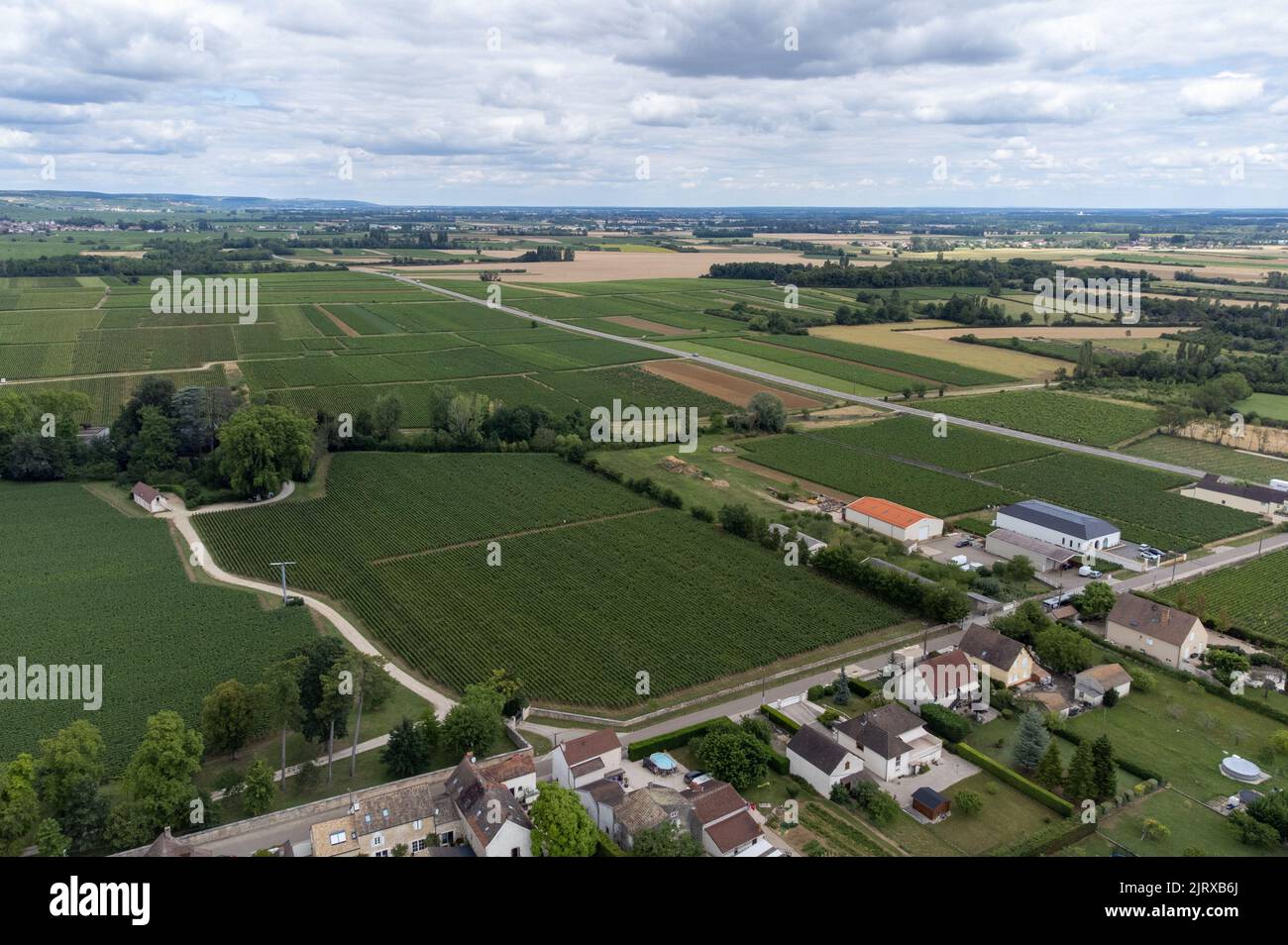Aerial view on green vineyards and Puligny-Montrachet village ...