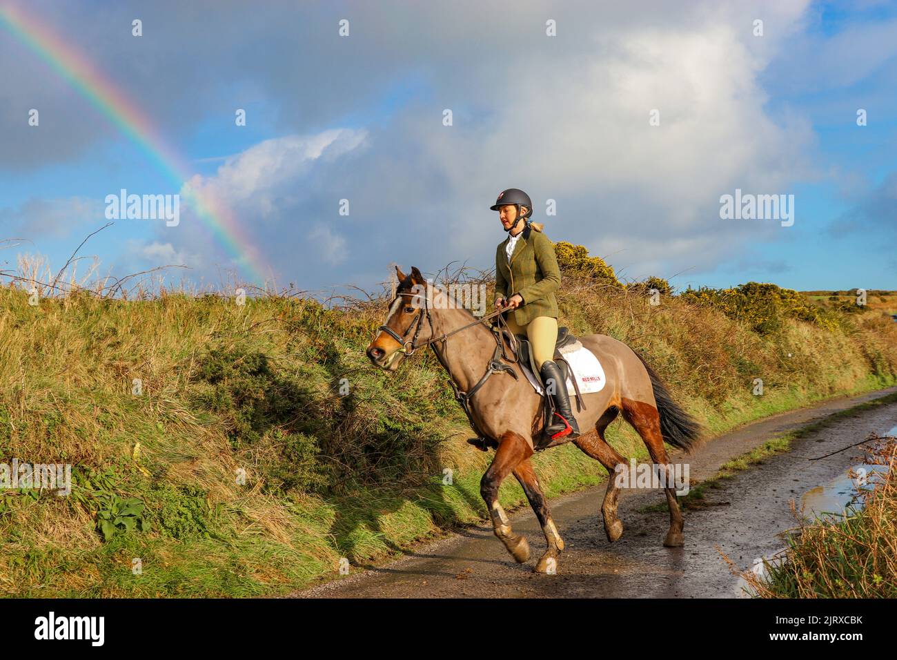 Butlerstown Cheval Ride Out Stock Photo - Alamy