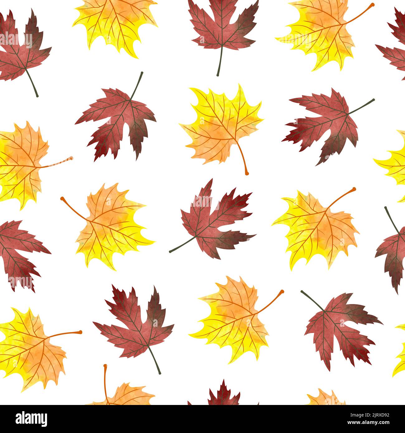 Watercolor maple leaves seamless pattern. Vector background with autumn orange and crimson ...