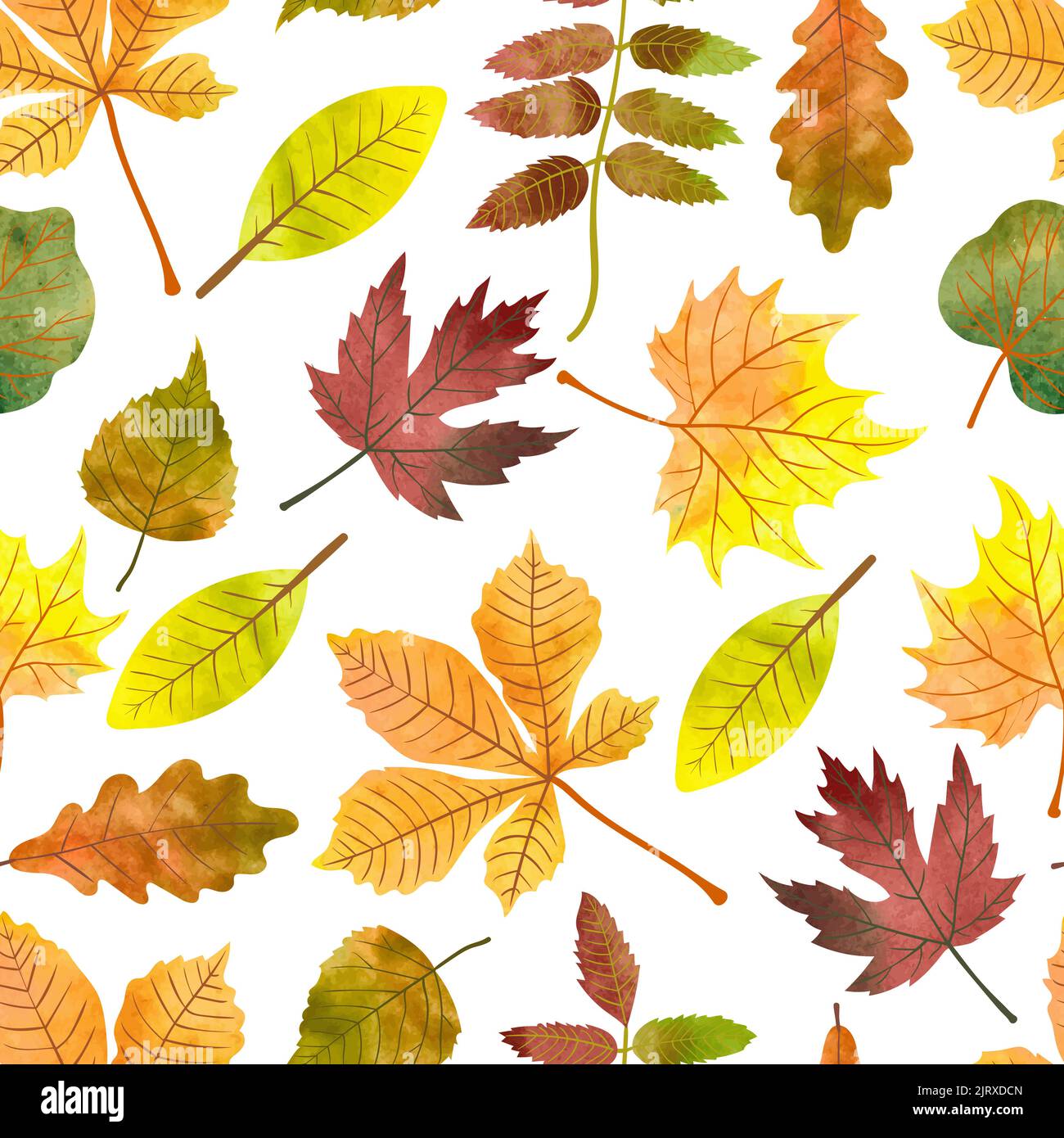 Watercolor autumn leaves seamless pattern. Vector colorful fall background with maple, chestnut ...