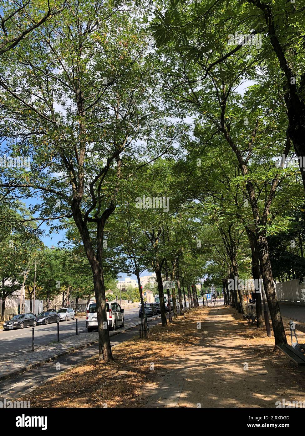 Paris, France, Street Scenes with Shade Trees, Sidewalk, Summer, 12th ...