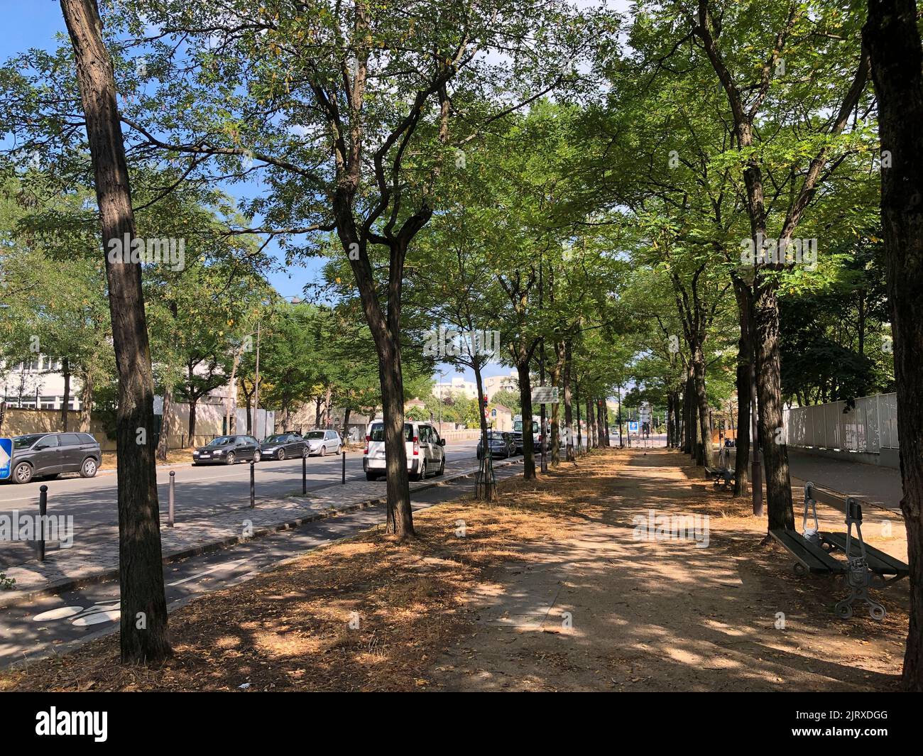 Paris, France, Street Scenes with Shade Trees, Sidewalk, Summer, 12th ...
