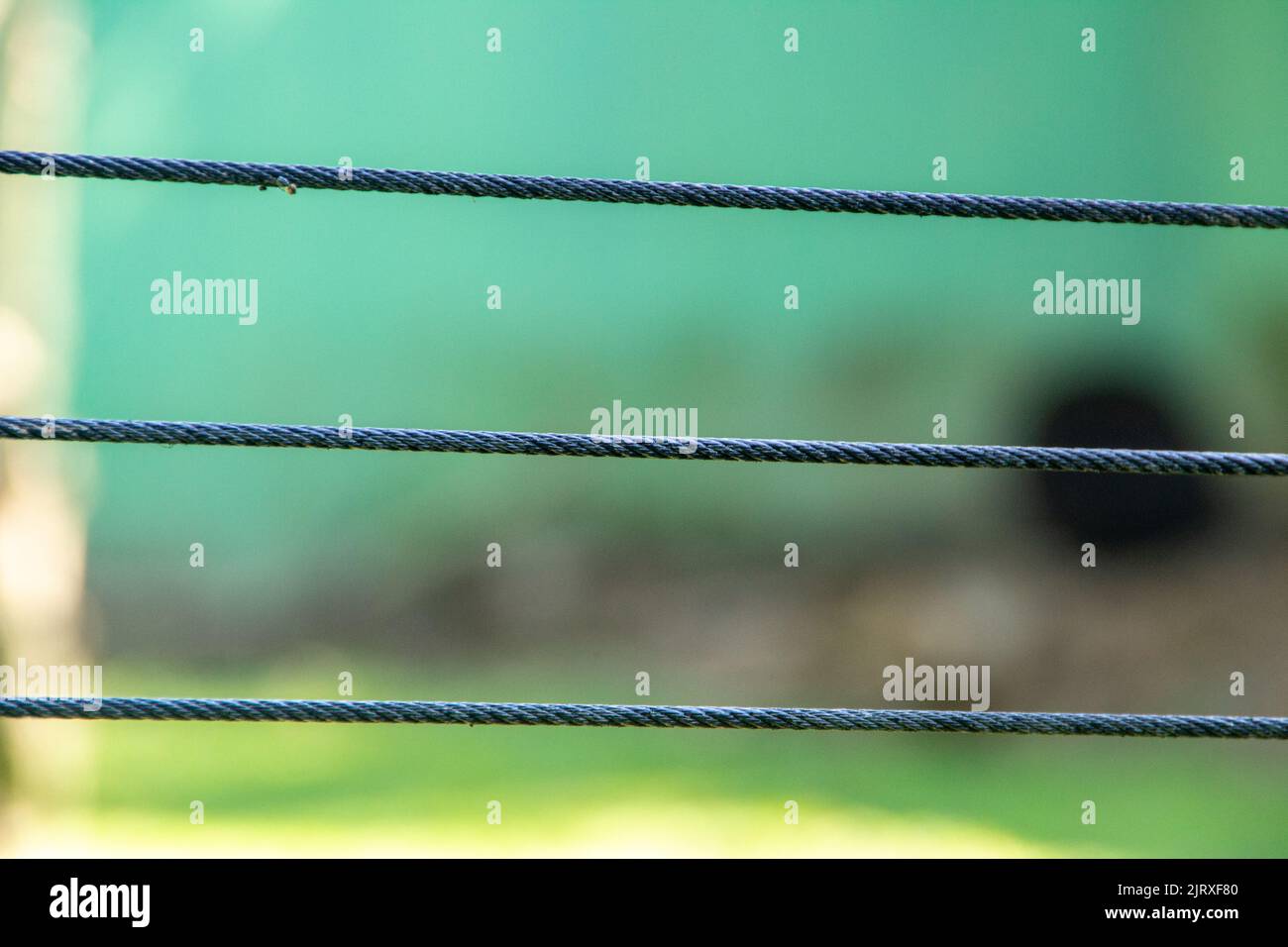 Three wires of steel cable with a green background in Brazil Stock ...