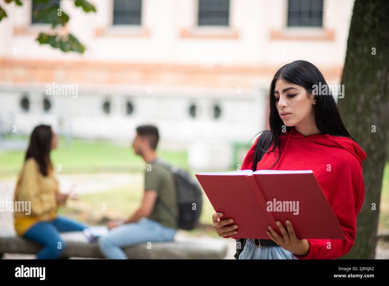 University student reading a book outdoor Stock Photo - Alamy