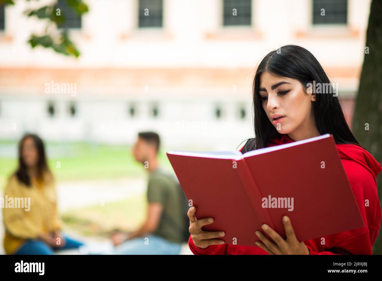 Group reading book outdoor hi-res stock photography and images - Alamy