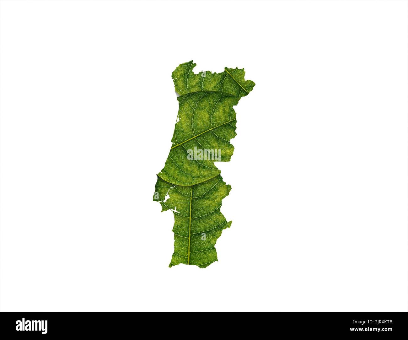 A Portugal map made of green leaves on isolated white background Stock ...