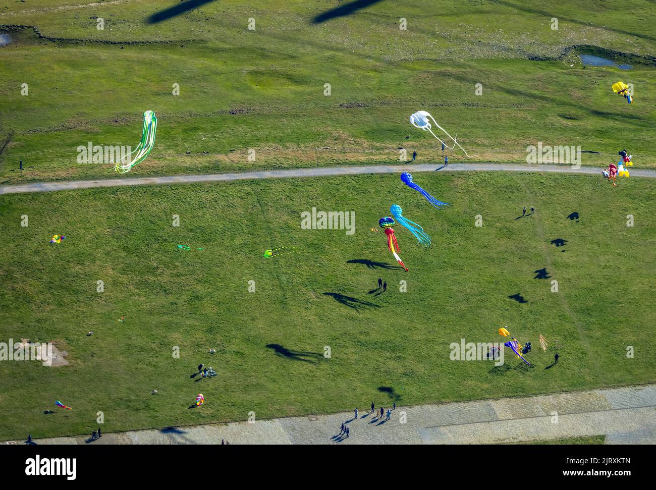 Aerial view, playing children flying kites on the banks of the Rhine at ...