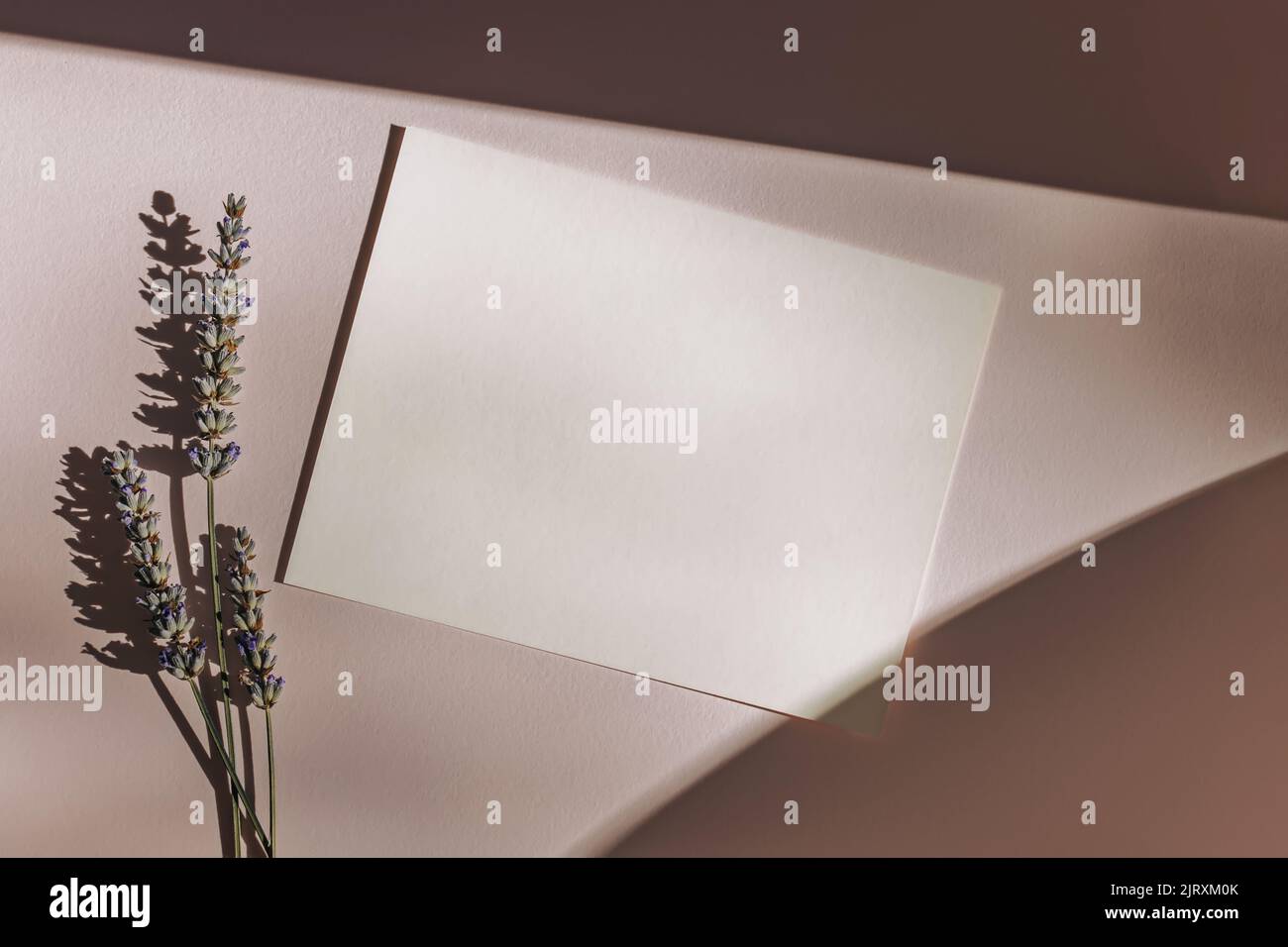 Minimalist paper card mock-up with natural lavender flowers on the ...