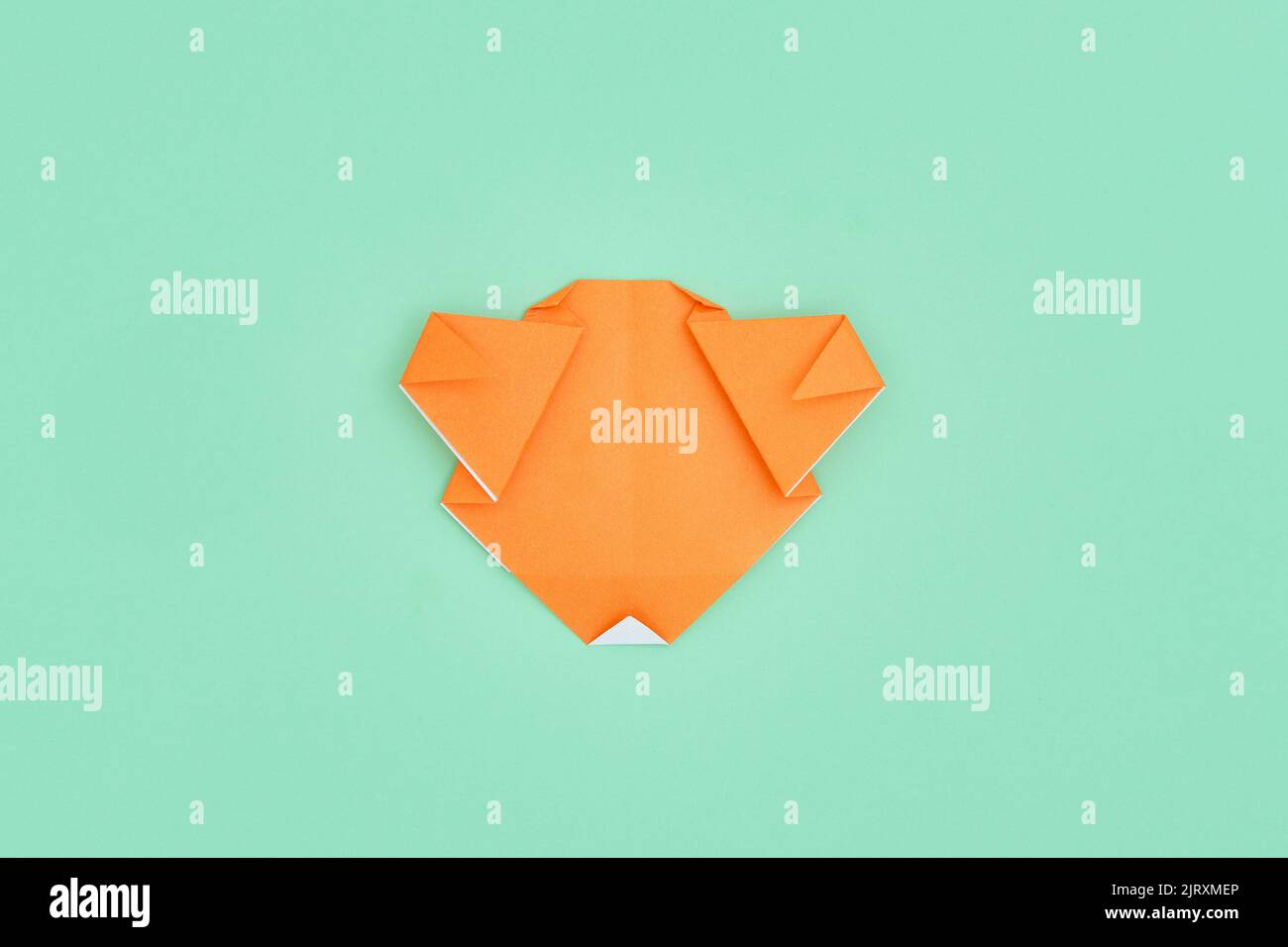 Origami Bear. Step-by-step photo instruction on a green background. DIY ...