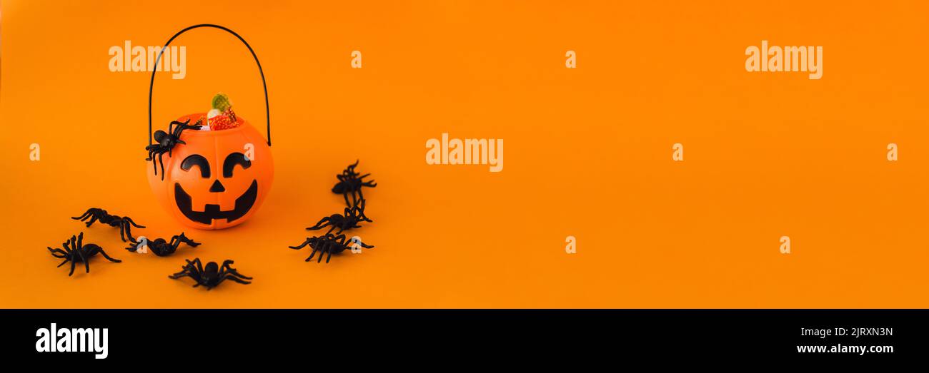 trick or treat for halloween. Pumpkin bucket with sweets and spiders on ...