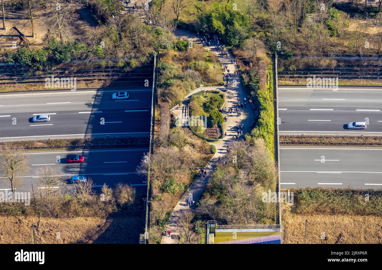 Aerial view, Zoo Duisburg and green pedestrian bridge Autobahn Zoo over ...