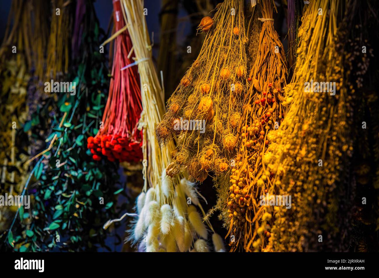 Variety of natural herbs drying on rack for decoration or tea with ...