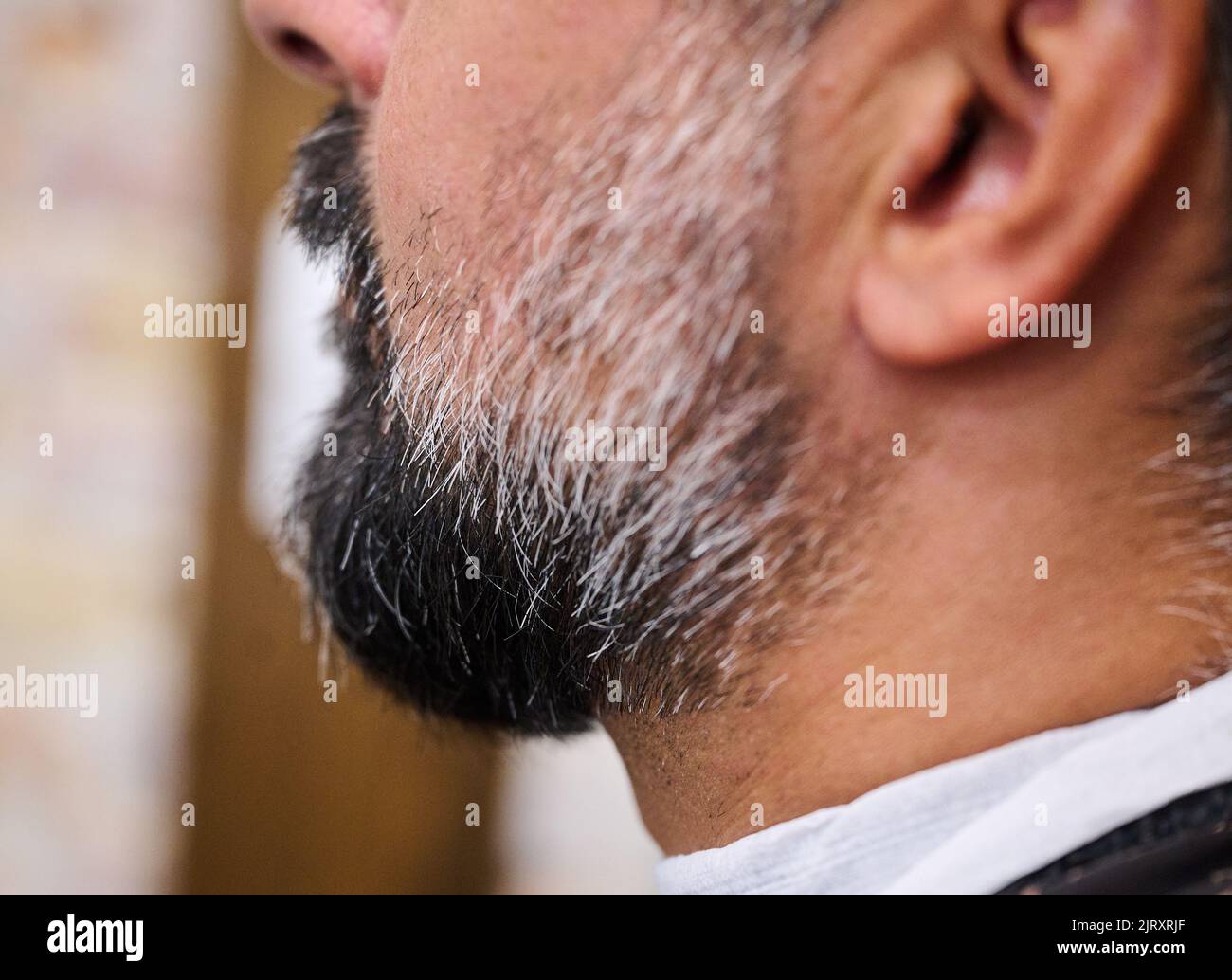 Berlin, Germany. 24th Aug, 2022. A man wears a full beard while sitting ...
