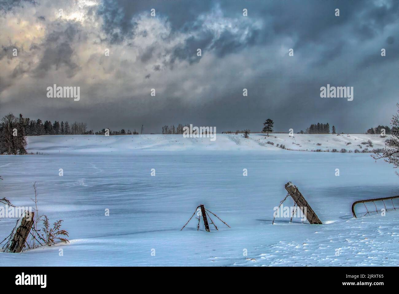 nature at work Stock Photo - Alamy