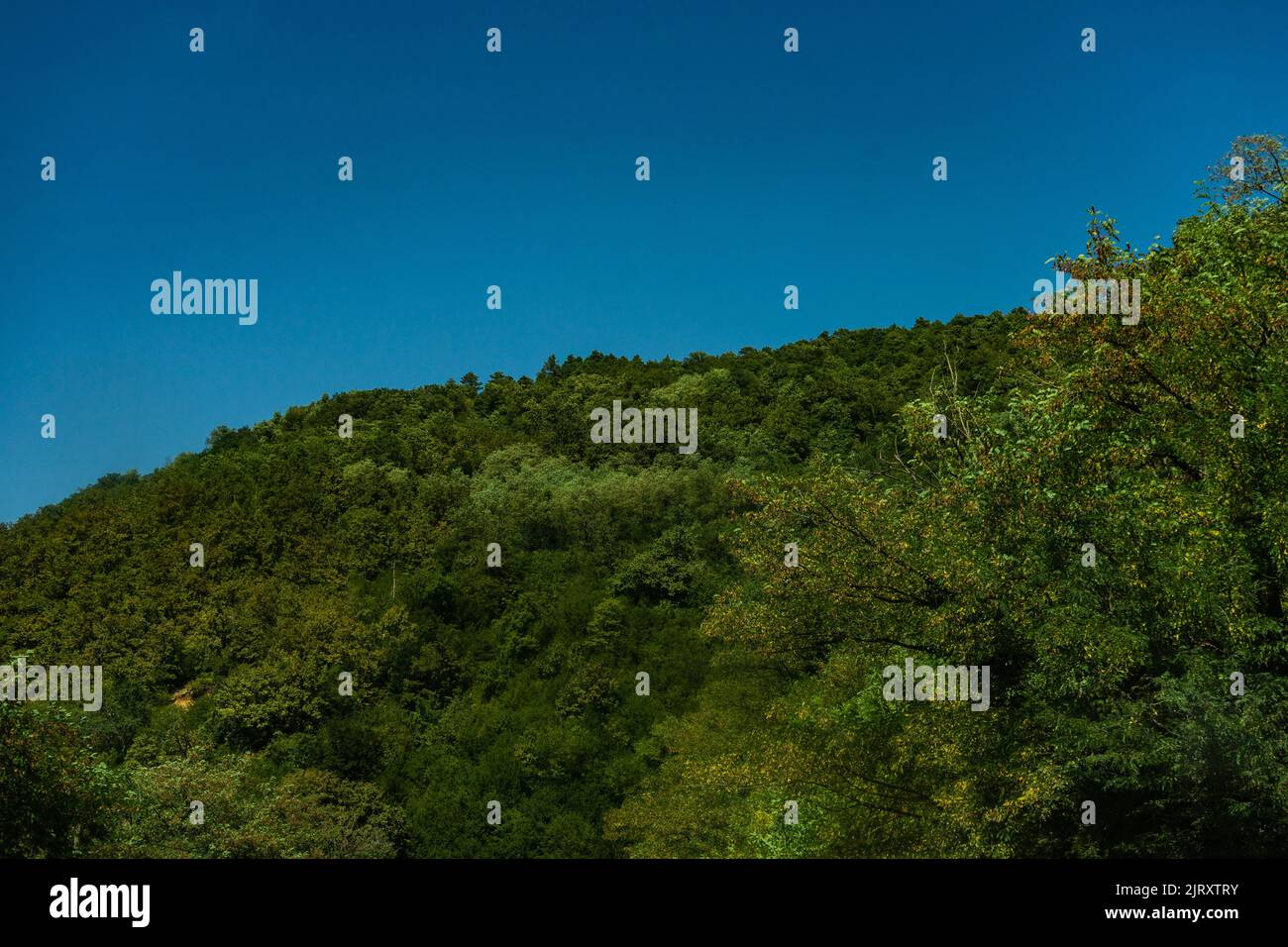 Mountain landscape in famous recreation zone of Guria region in western ...