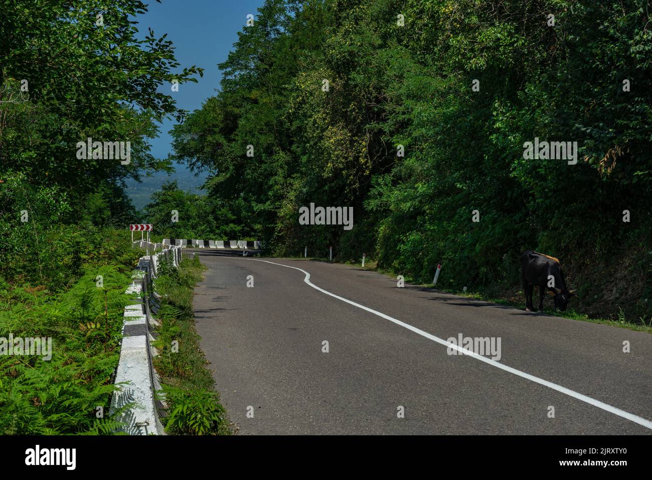 Mountain landscape in famous recreation zone of Guria region in western ...