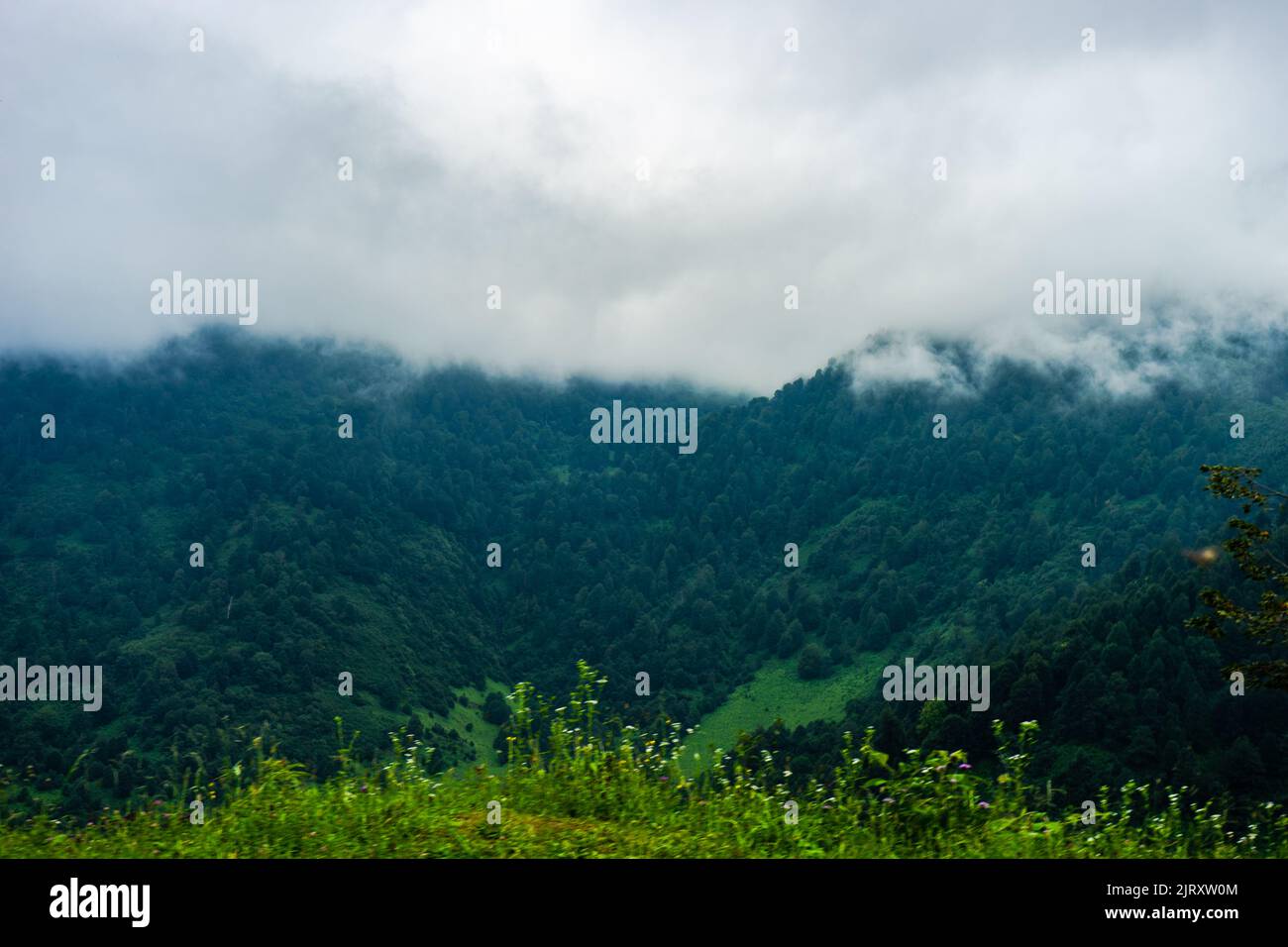 Mountain landscape in famous recreation zone of Guria region in western ...
