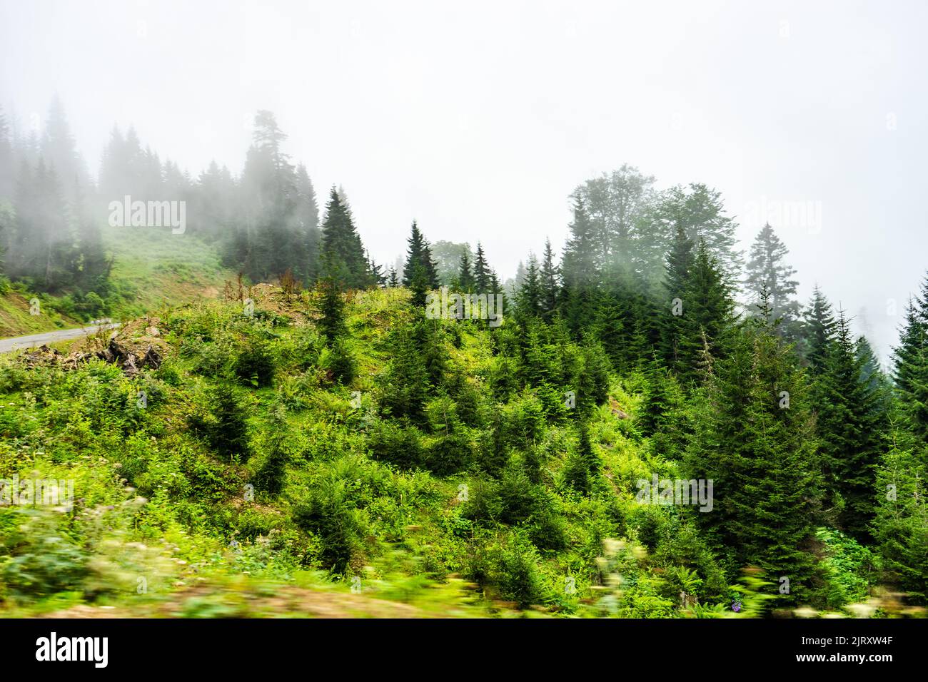 Mountain landscape in famous recreation zone of Guria region in western ...