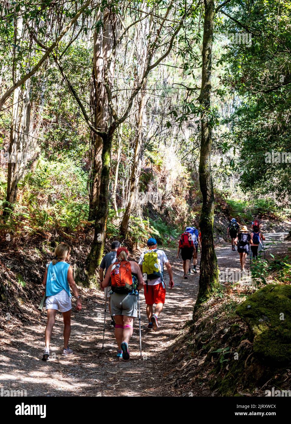 People Walking The Camino De Santiago In Spain Stock Photo - Alamy