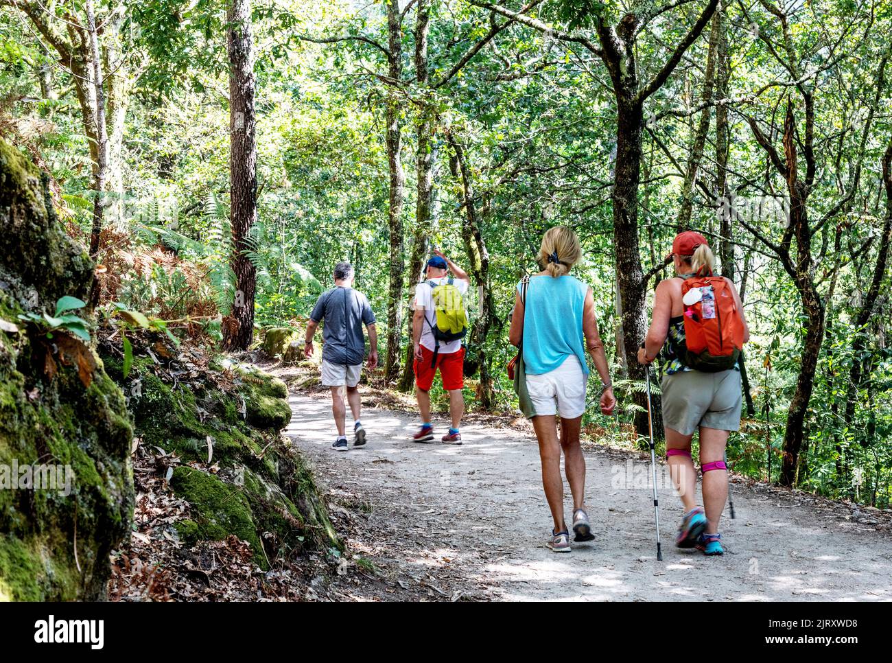 People Walking The Camino De Santiago In Spain Stock Photo - Alamy