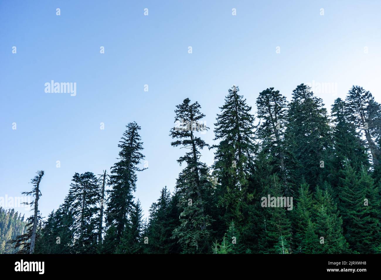 Mountain landscape in famous recreation zone of Guria region in western ...