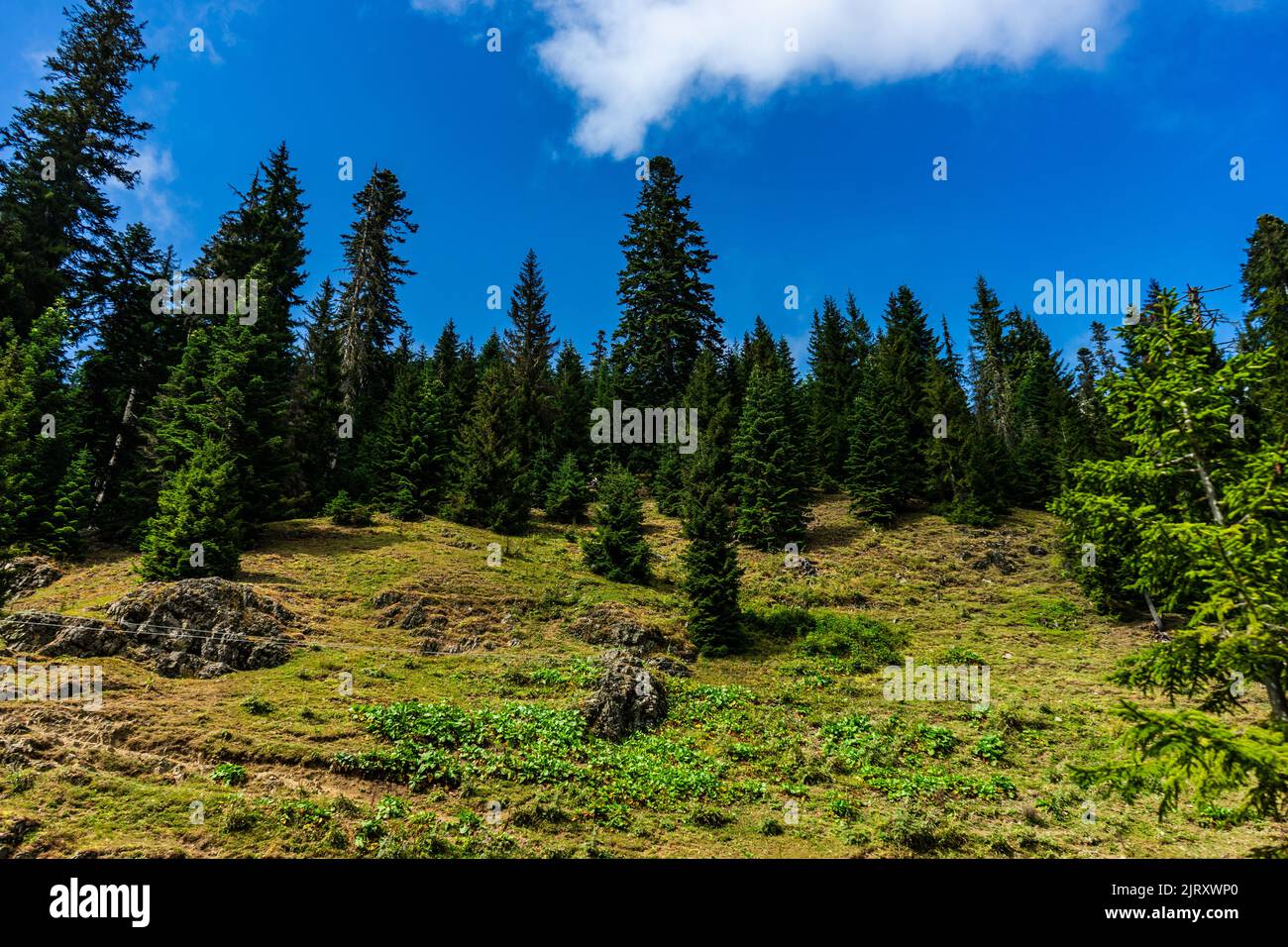 Mountain landscape in famous recreation zone of Guria region in western ...