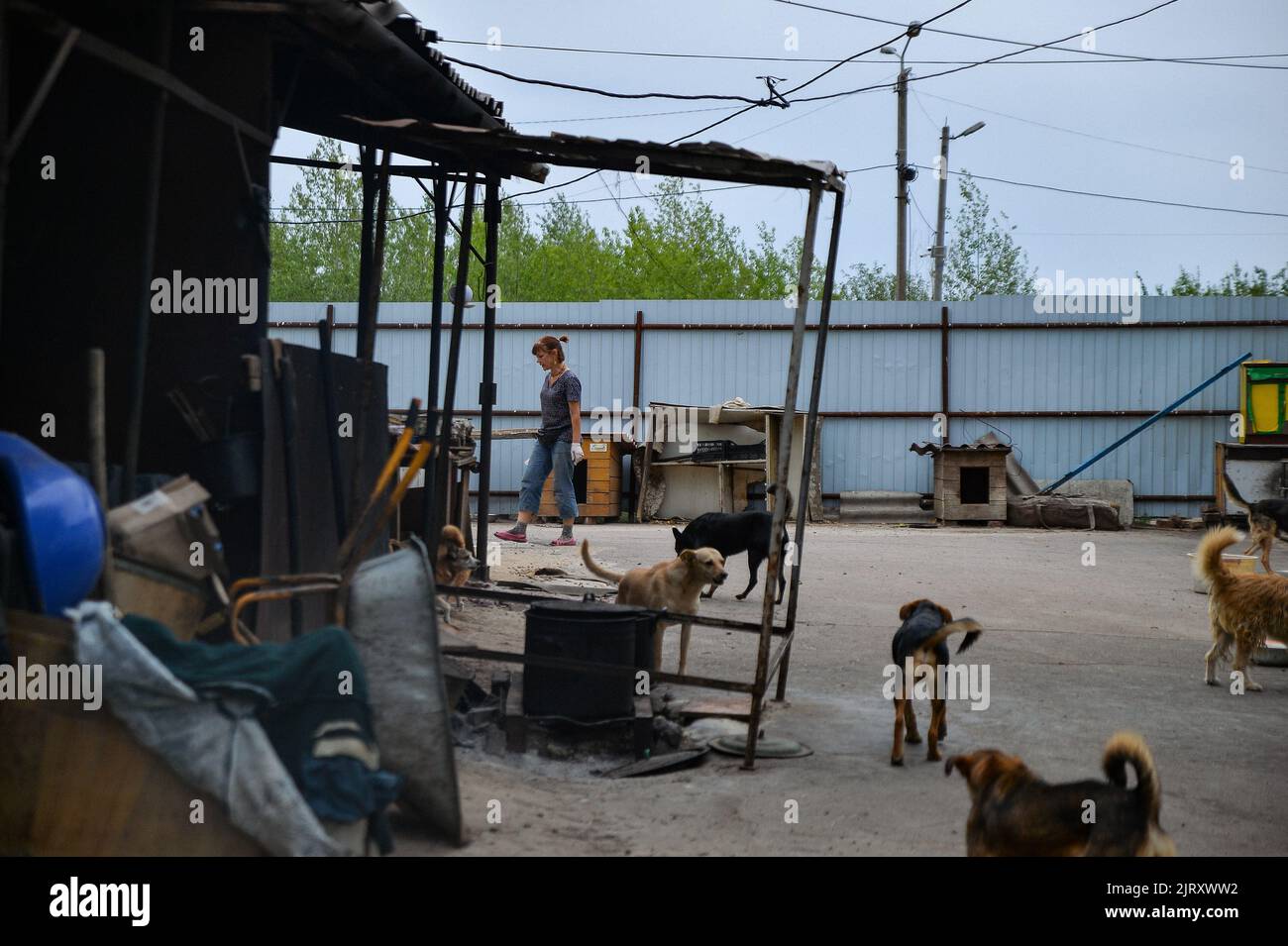 Bakhmut, Ukraine. 26th Aug, 2022. A volunteer walks through the Bakhmut ...