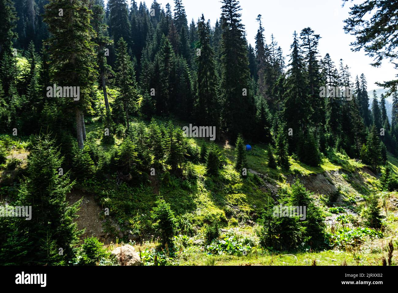 Mountain landscape in famous recreation zone of Guria region in western ...