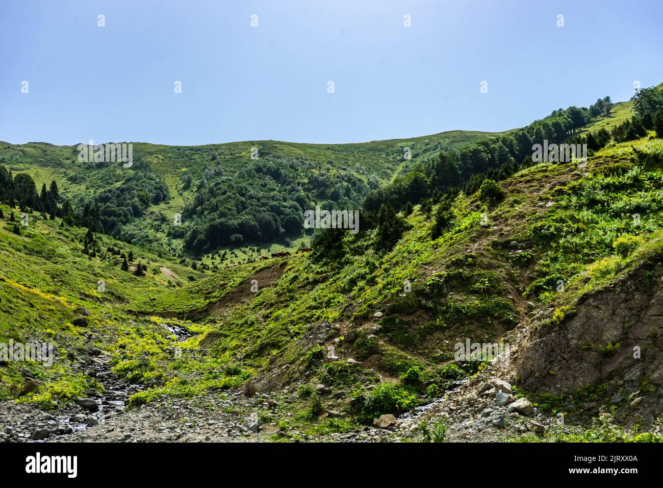 Mountain landscape in famous recreation zone of Guria region in western ...